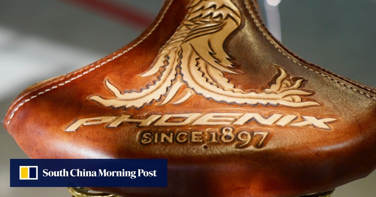 Bike-sharing craze gives Phoenix new lease of life – but what’s next ...