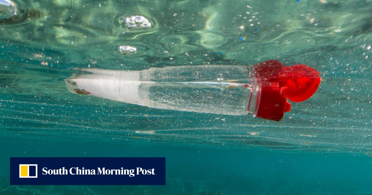 Four ways plastics are killing marine life, and reaching the oceans ...