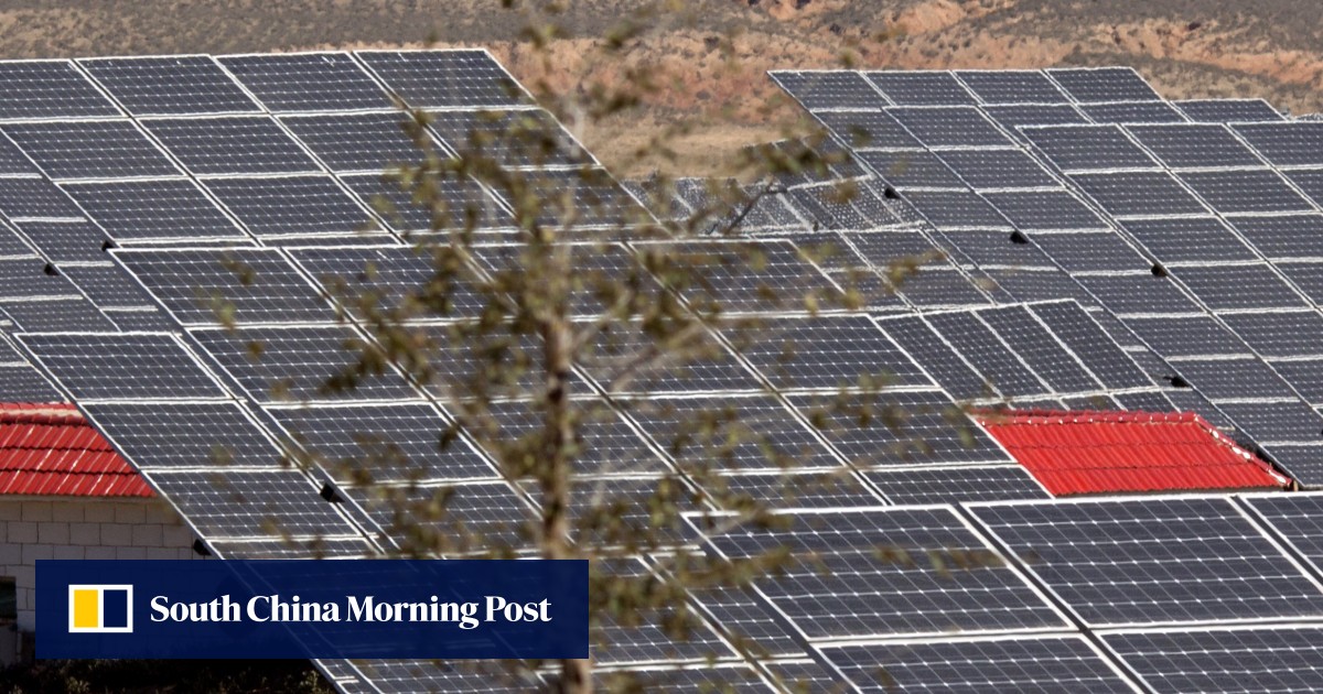 Developing | Chinese solar power stocks plunge as government moves to ...