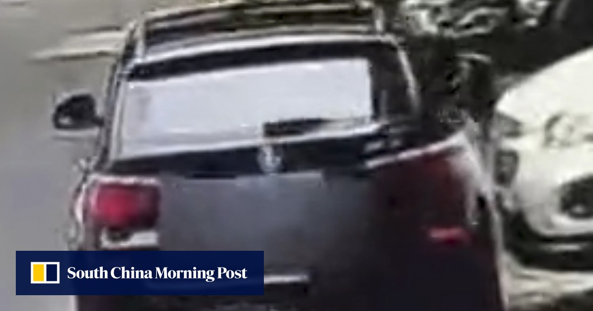 Chinese woman killed in Shanghai car park after being run down by ...