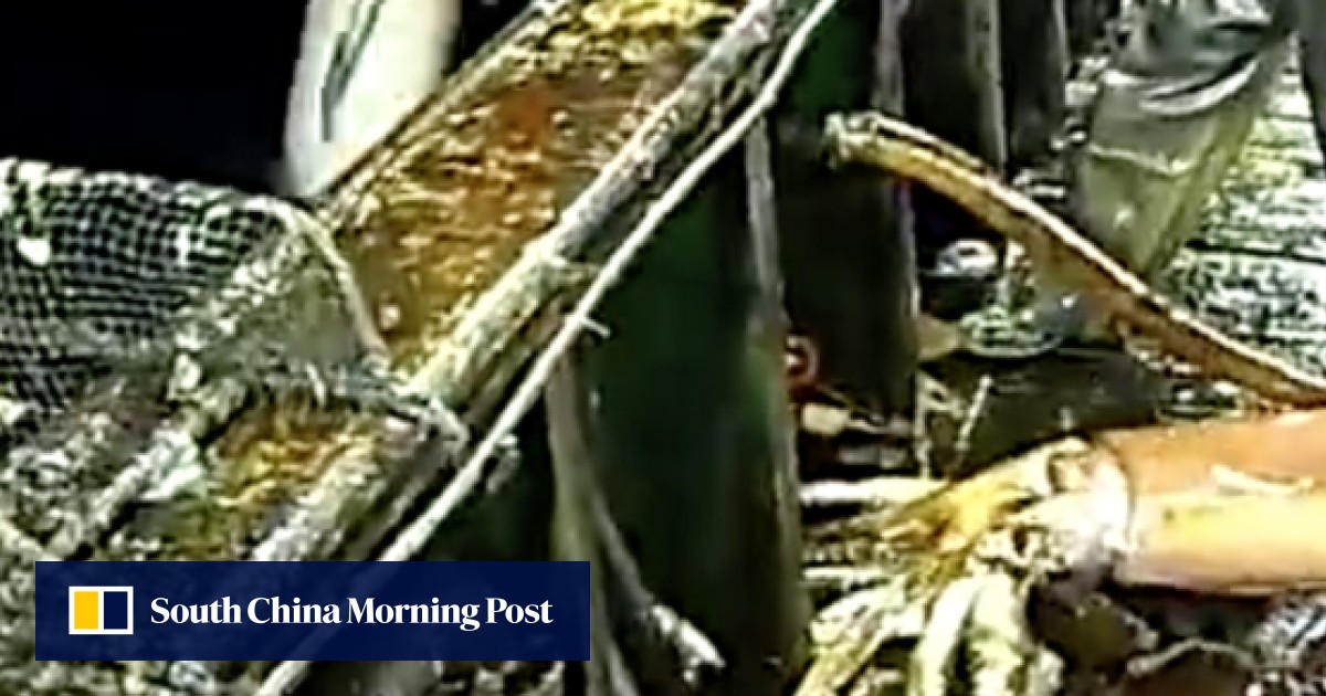 How China’s squid fishing programme is squeezing its neighbours and ...
