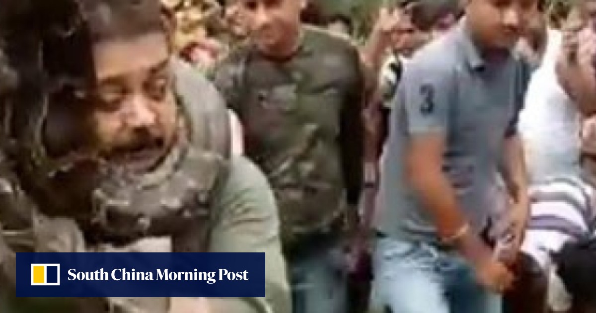 Plot twist: Indian forest ranger posed for photos with python draped ...