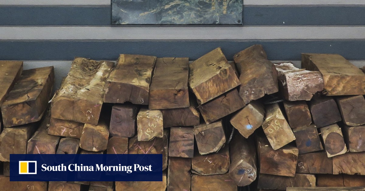 Customs seizes 29 tonnes of endangered wood worth HK$1.15 million in ...