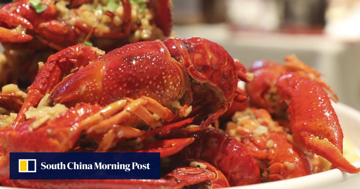 How American crayfish invaded Chinese hearts and stomachs, and how to ...
