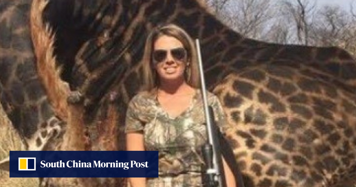 US hunter Tess Talley rejoices in killing ‘rare’ black giraffe. Then it ...