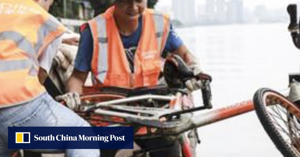 Chinese bike-sharing firms pull 3,000 bikes out of rivers, vow to help ...