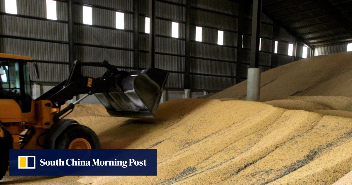 How does China, the largest commodities buyer, become a price maker ...