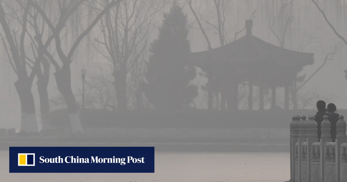 Beijing's air pollution helps its trees grow better, faster, stronger ...