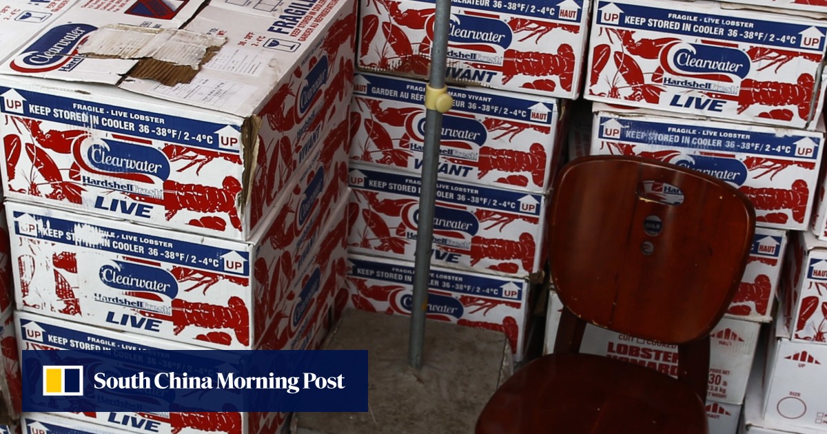 How can China win a trade war? A Beijing think tank offers its top tips ...