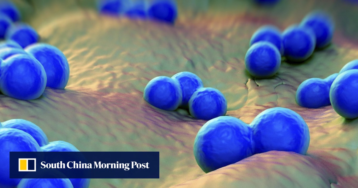 One in three of Hong Kong’s elderly care home residents carries MRSA ...