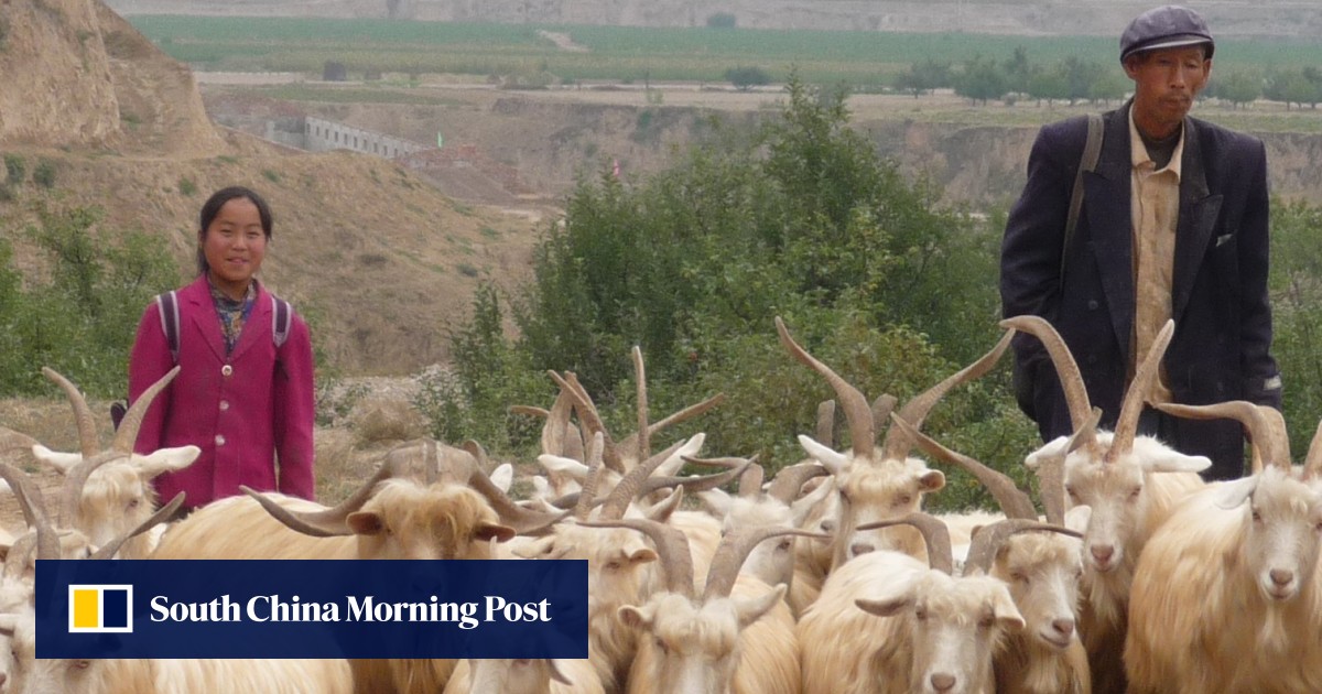 Three stories, one film and a big picture of the class divide in China ...