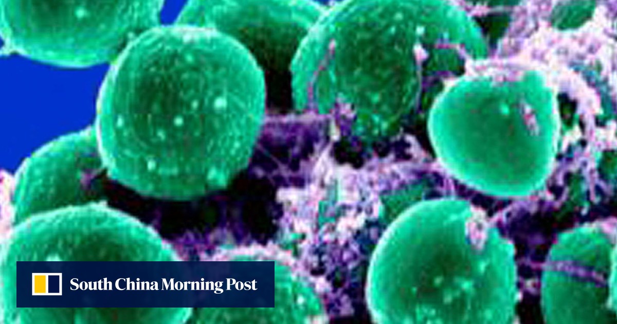 Superbug related to deadly MRSA and resistant to all known antibiotics ...