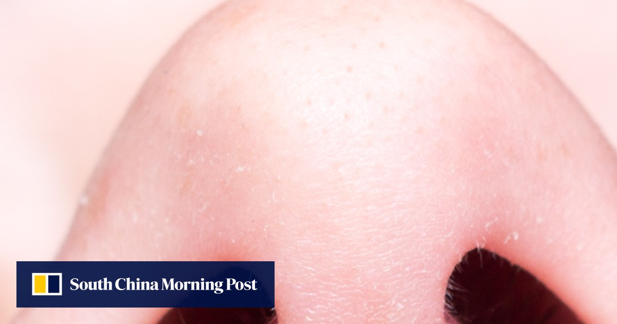 The human nose: amazing facts about our most powerful organ | South ...