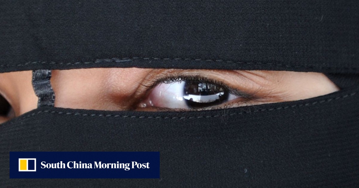Another regional ‘burka ban’ goes to a vote in Switzerland | South ...