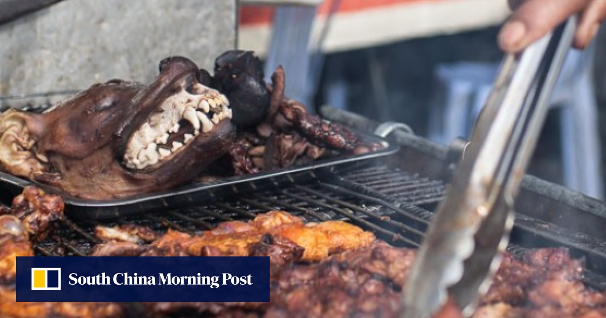 Why a dog meat seller switched to serving vegan menu, and Cambodia’s ...