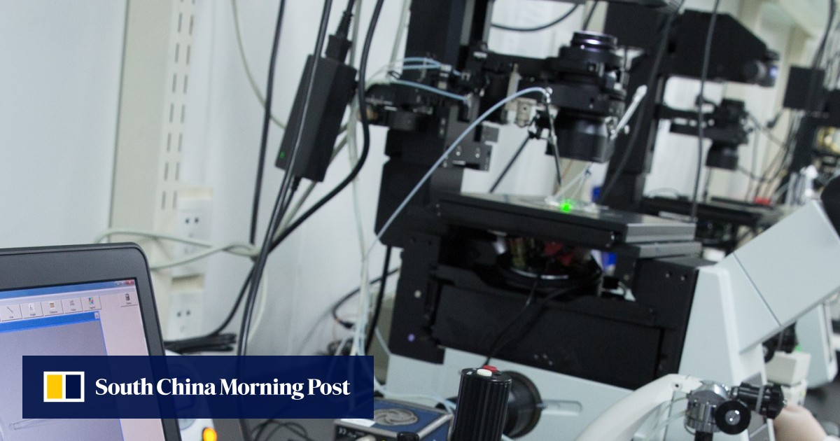 China must innovate if it wants to be a world leader in science and ...