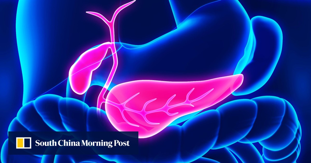 The pancreas: all you need to know, from how it works to the best ways ...