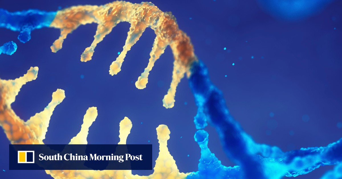 Han Chinese share gene characteristics with Indians and Europeans ...