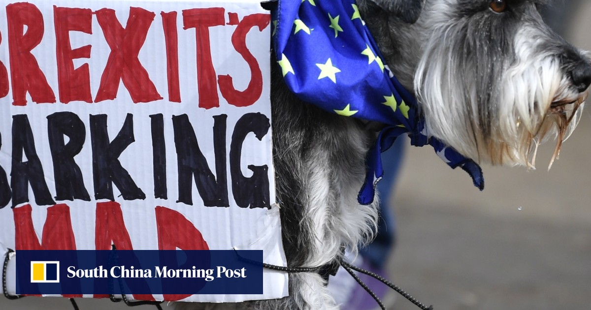 Dogs owners march on UK parliament demanding new Brexit ‘Wooferendum ...