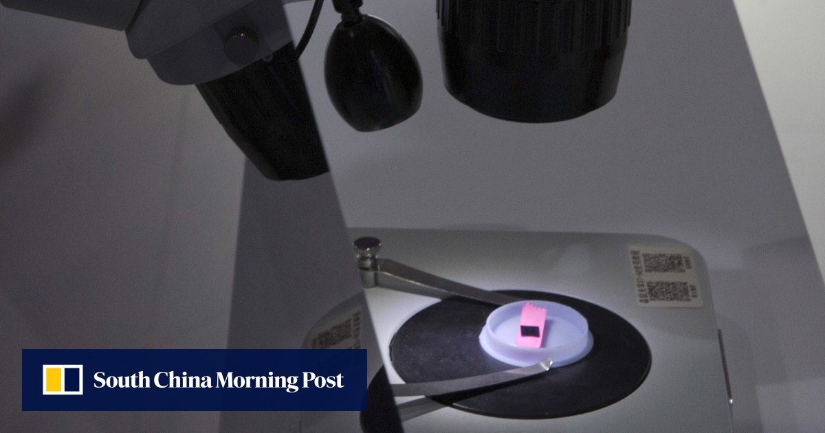 Experts question whether China has technical know-how to pull off chip ...