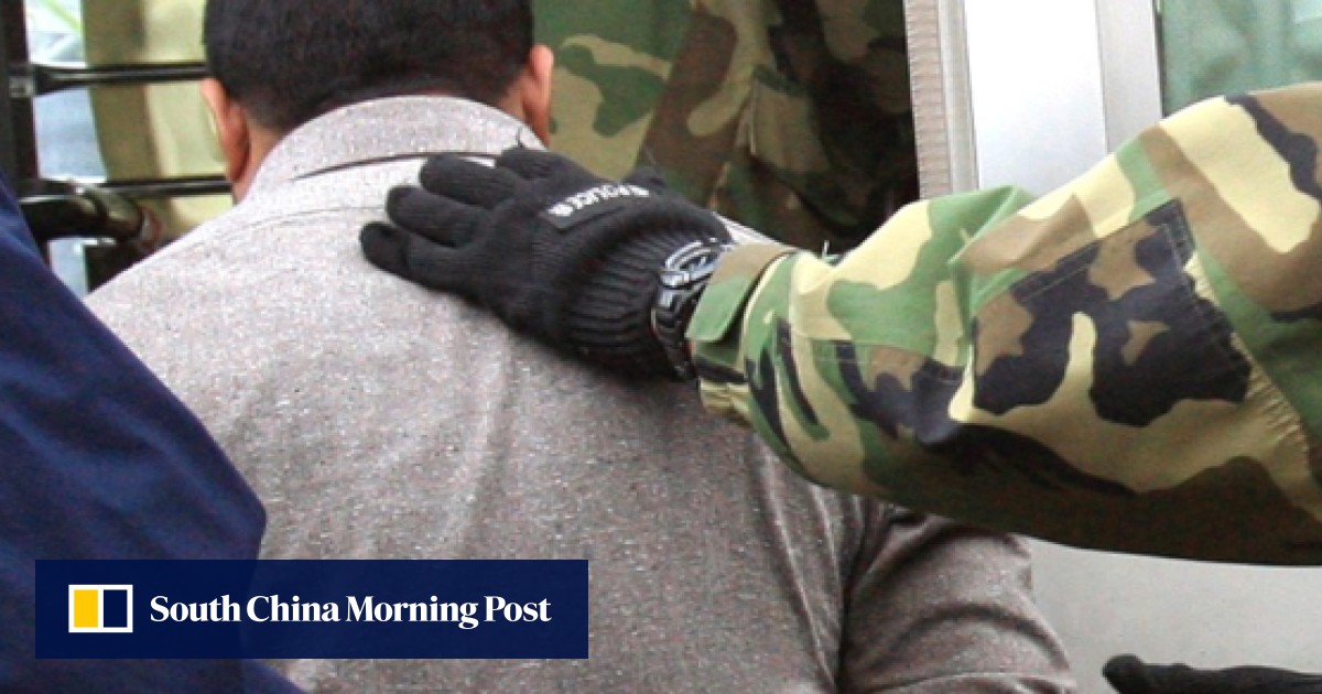 Police in Hong Kong and mainland China arrest 25 as cross-border ...