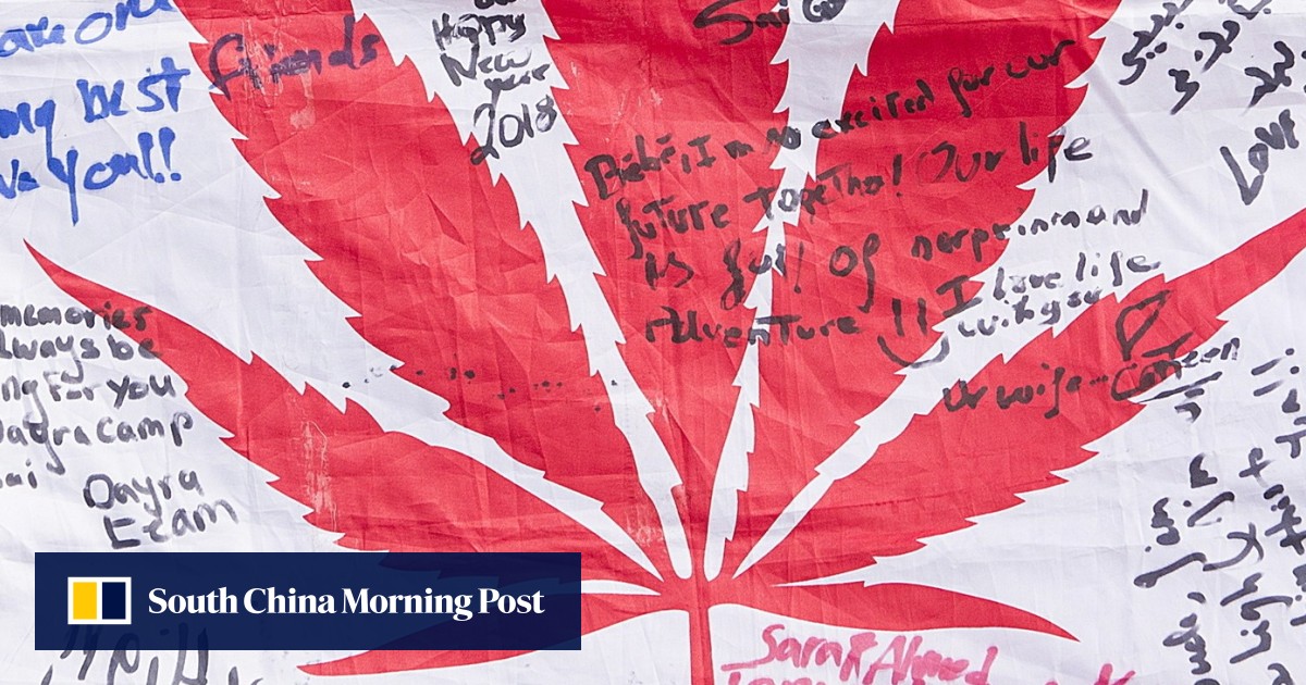 Ganja gap: after marijuana legalisation, Asian-Canadians tread a ...