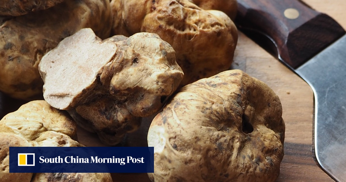7 of the best places in Hong Kong to savour white truffles this season ...
