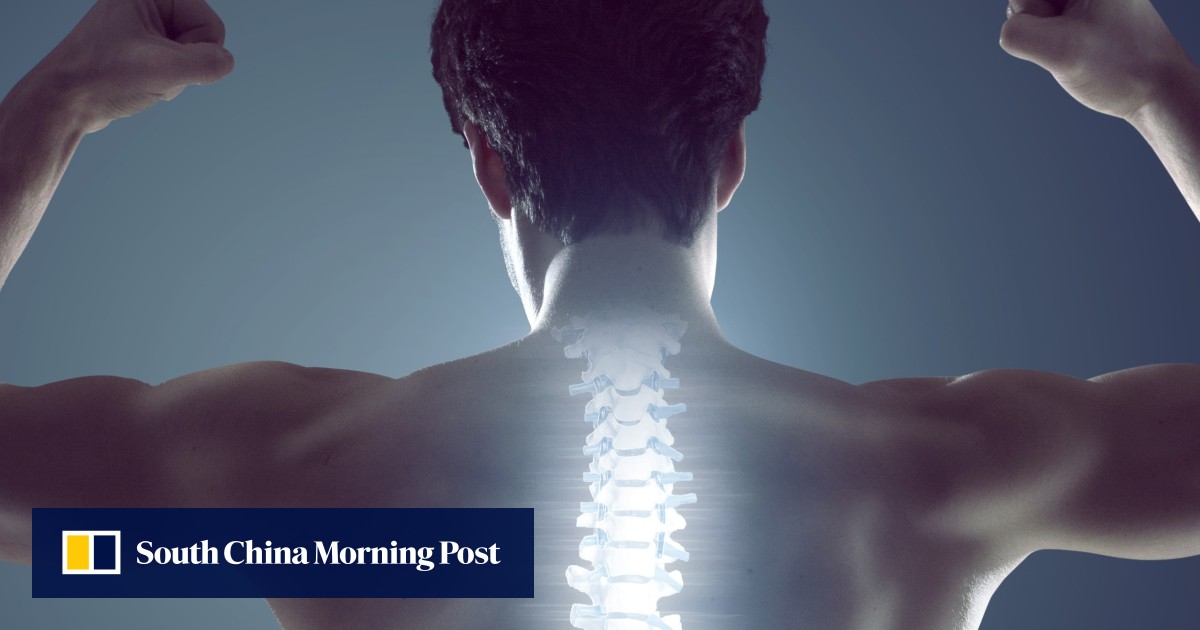 Your spine has 26 bones, and here are 26 facts to remember about it to ...