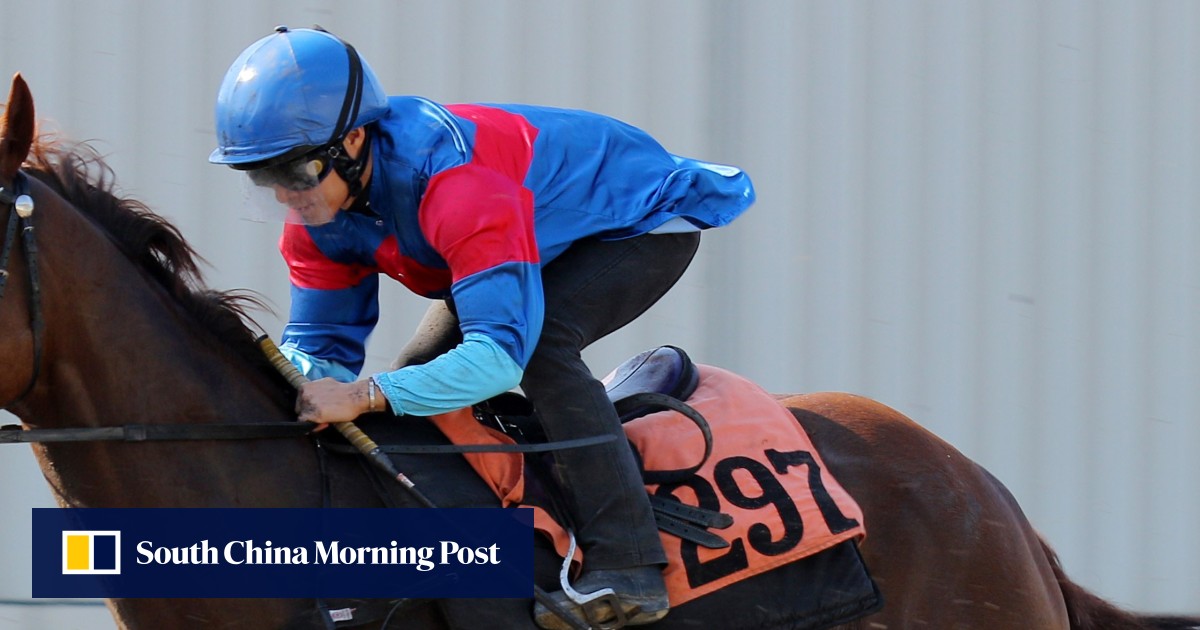 Coby Boy’s roller coaster continues but Benno Yung is confident he’s on ...