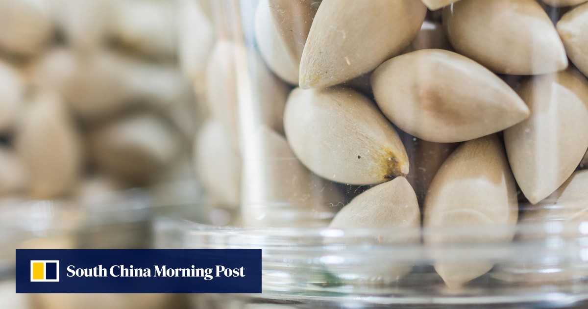 Ginkgo seeds warning after Hong Kong woman poisoned from eating 50 to ...