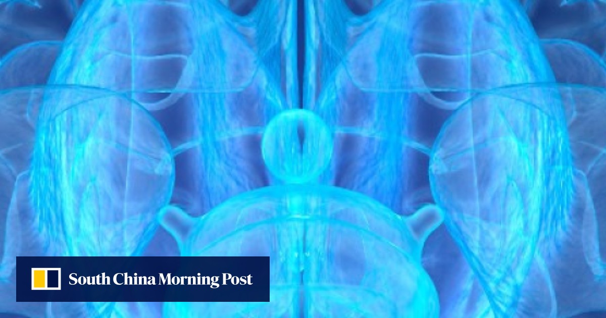 Chinese scientists go in search of the soul with world’s most powerful ...