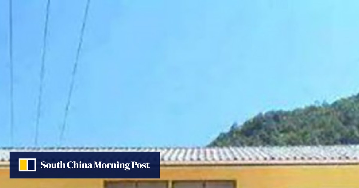 Chinese village official punished after house of hollow brick was built ...