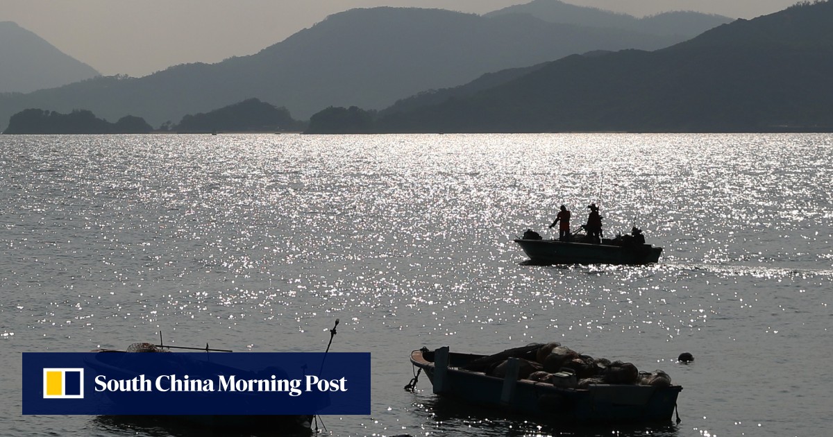 Smelly harbours and lifeless waters? Lantau Tomorrow Vision reclamation ...
