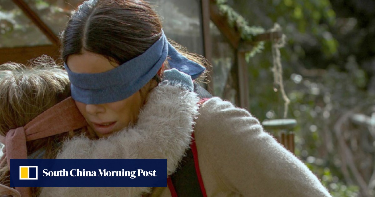 Netflix warns viewers against Bird Box challenge meme: ‘Do not end up ...