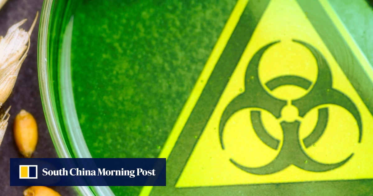 China approves first GMO crop imports from United States in 18 months ...