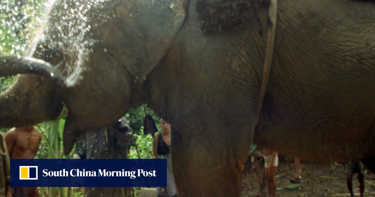 Sorcery and black magic are alive and well in Cambodia, and they’re ...