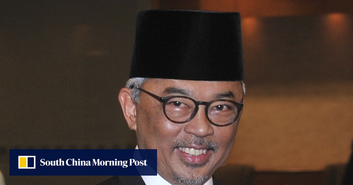 Sultan of Pahang named as Malaysia’s new king | South China Morning Post
