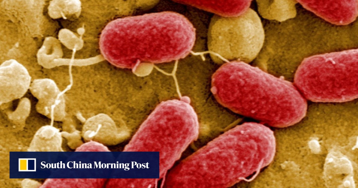 Genes linked to antibiotic-resistant ‘India superbug’ found in Arctic ...