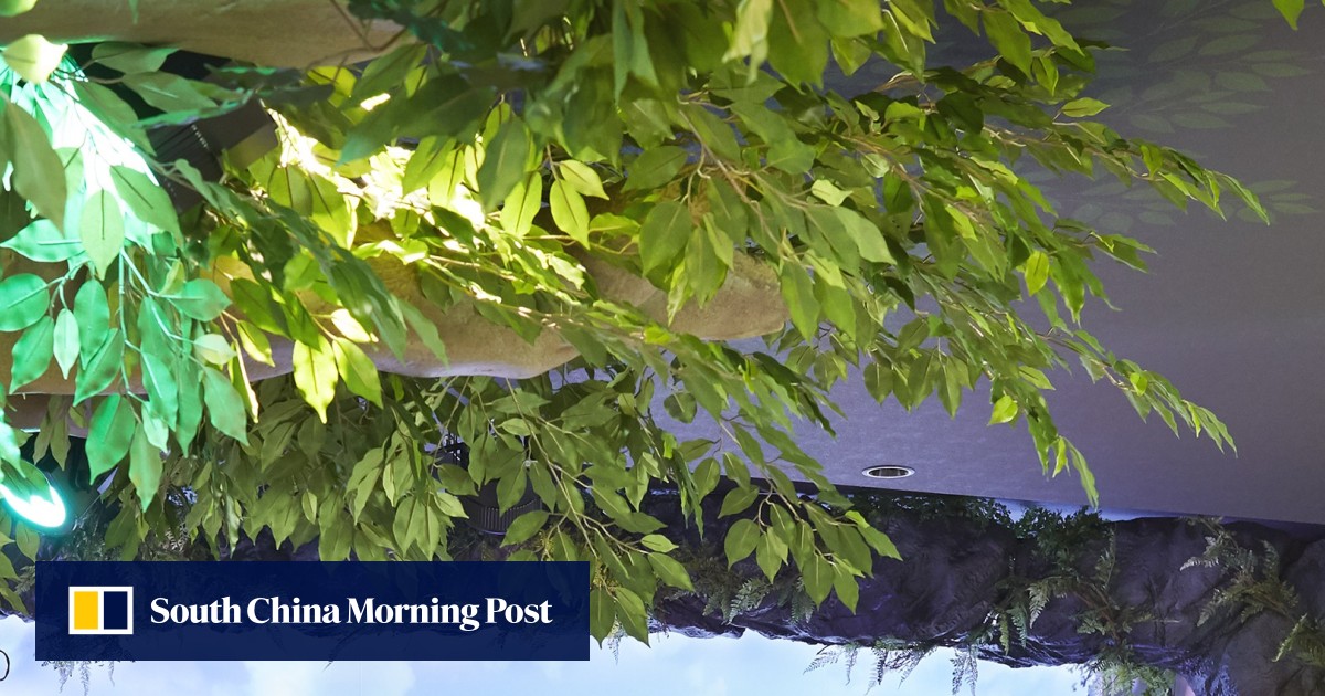 5 hi-tech hotels in Asia that use robot concierges and apps to serve ...