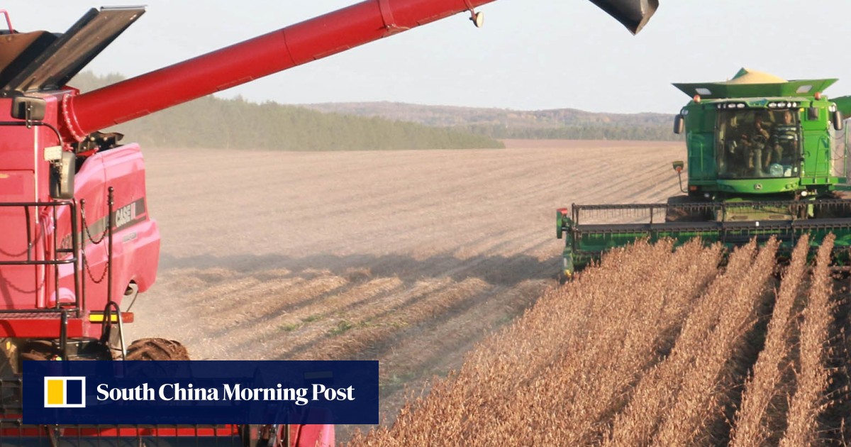 China to expand soybean crop and farm subsidies to cut reliance on US ...