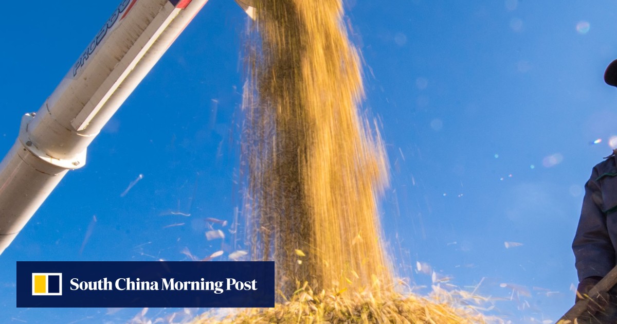 US defeats China at WTO in vast grain-subsidy case, after accusing ...