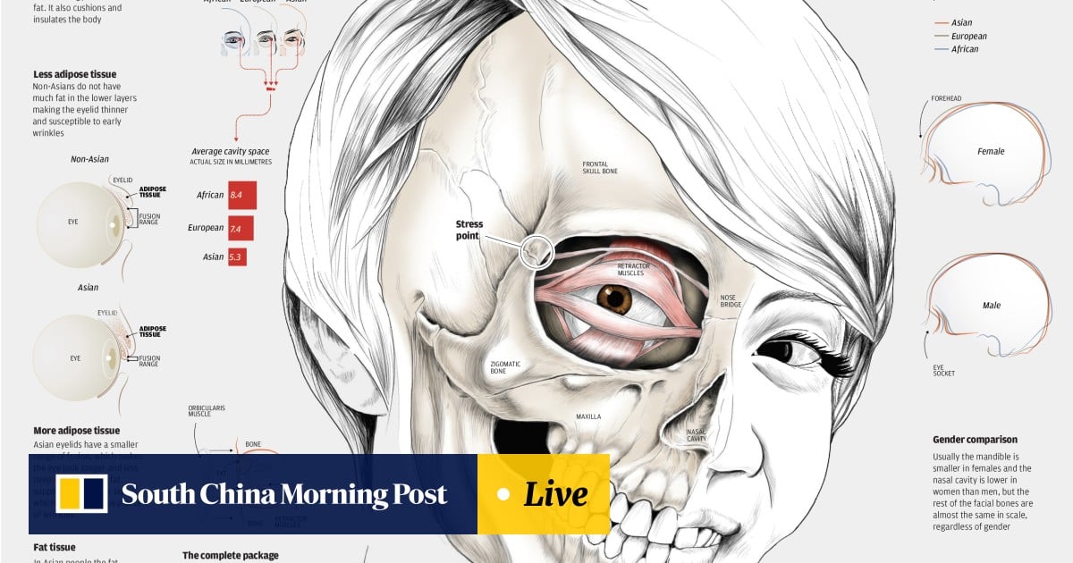asian face shape types