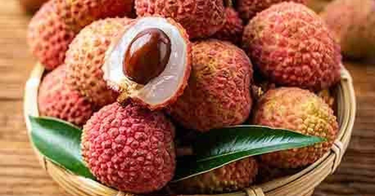 lychee fruit origin