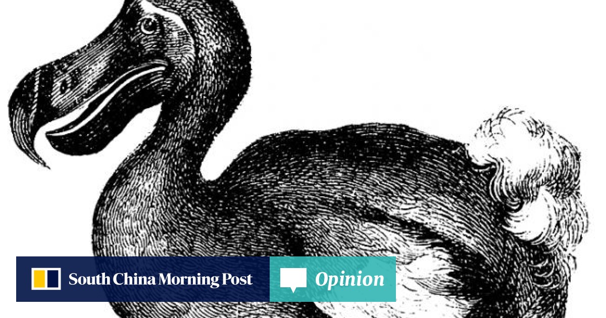 The Daily Matter | Hello dodo: bringing species back from extinction ...