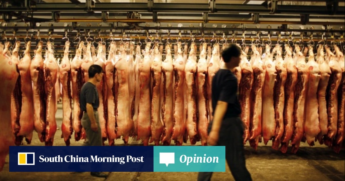 Opinion | Rat meat sold as lamb in Shanghai, police say | South China ...