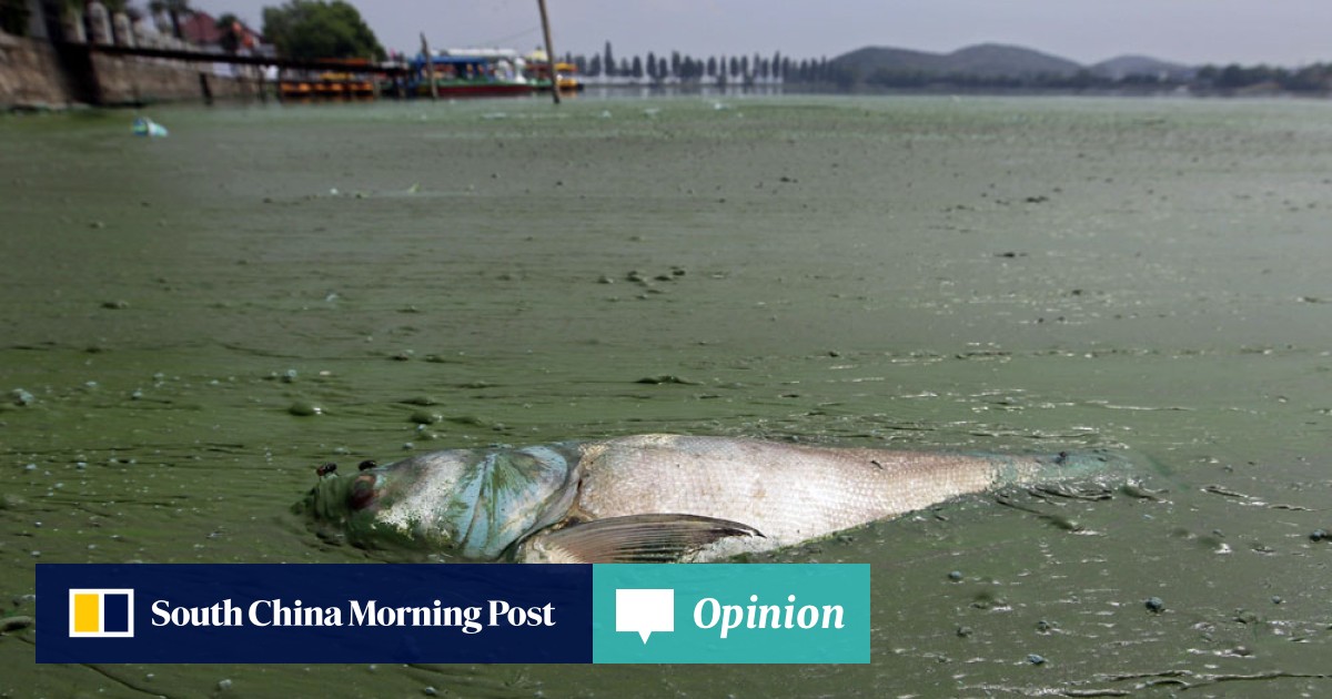 Opinion | Pollution threats stir delta residents to action | South ...