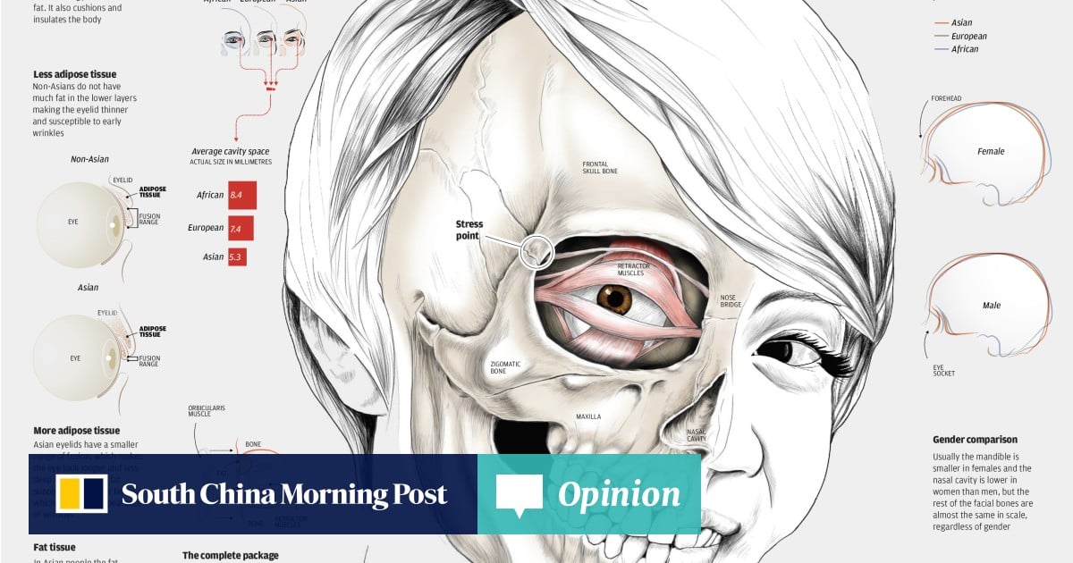 asian face shape chart
