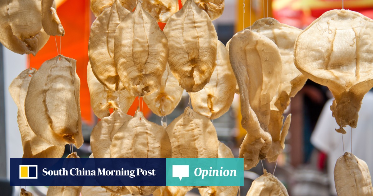 Opinion | Taking collagen is like the old Chinese belief that eating ...