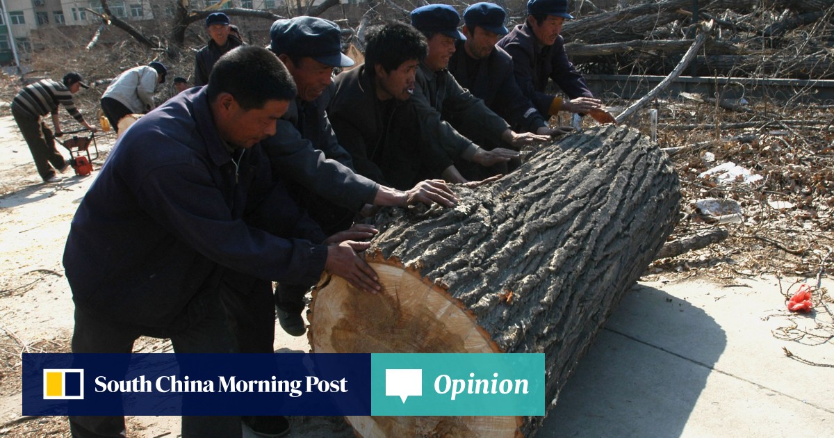 Opinion | China was a sustainability pioneer, learning early that human ...