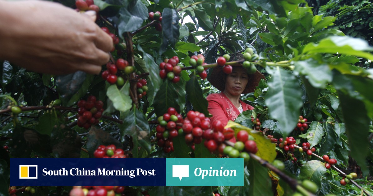 Opinion | China, slowly but surely, is waking up and smelling the ...